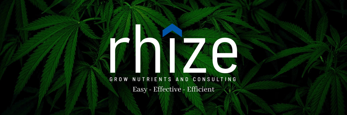 Rhize Nutrients Easy Effective Efficient Growing For Everyone Rhize 0829